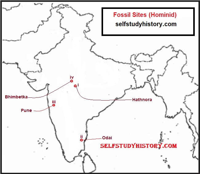Hominid Fossil Sites – SELF STUDY HISTORY